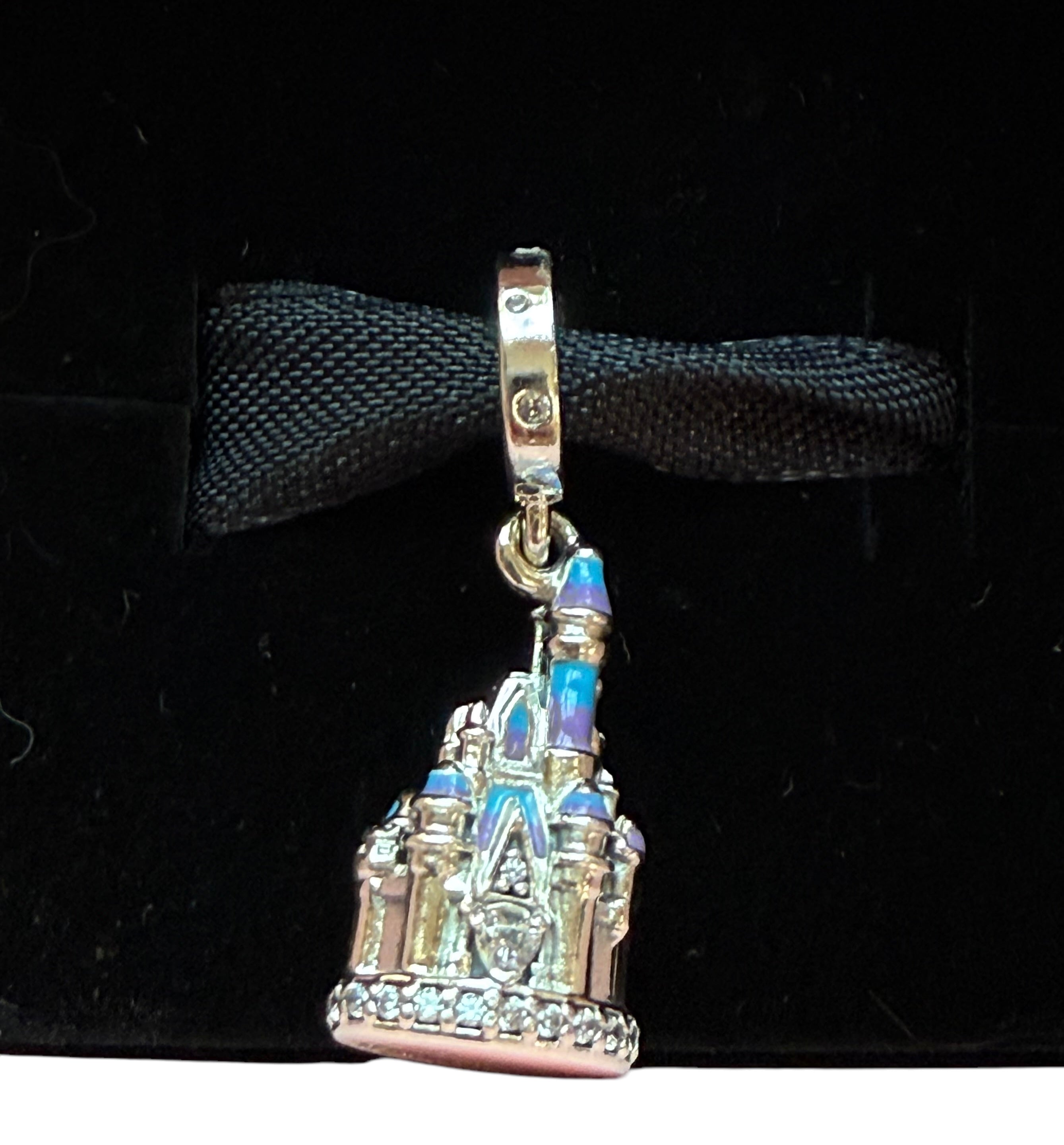 Walt Disney World Magic Kingdom Castle Pandora Charm – World of Treasures